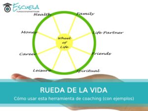Ejemplos de rueda de la vida >> Cómo usarla